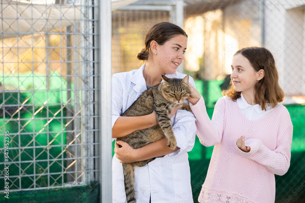 Positive young female volunteer showing big gray tabby male cat to ...