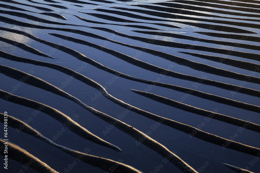 Ripples created by the action of wind, water and tides are revealed as ...
