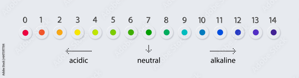 pH scale chart for acid and alkaline solutions. Acid-base balance ...