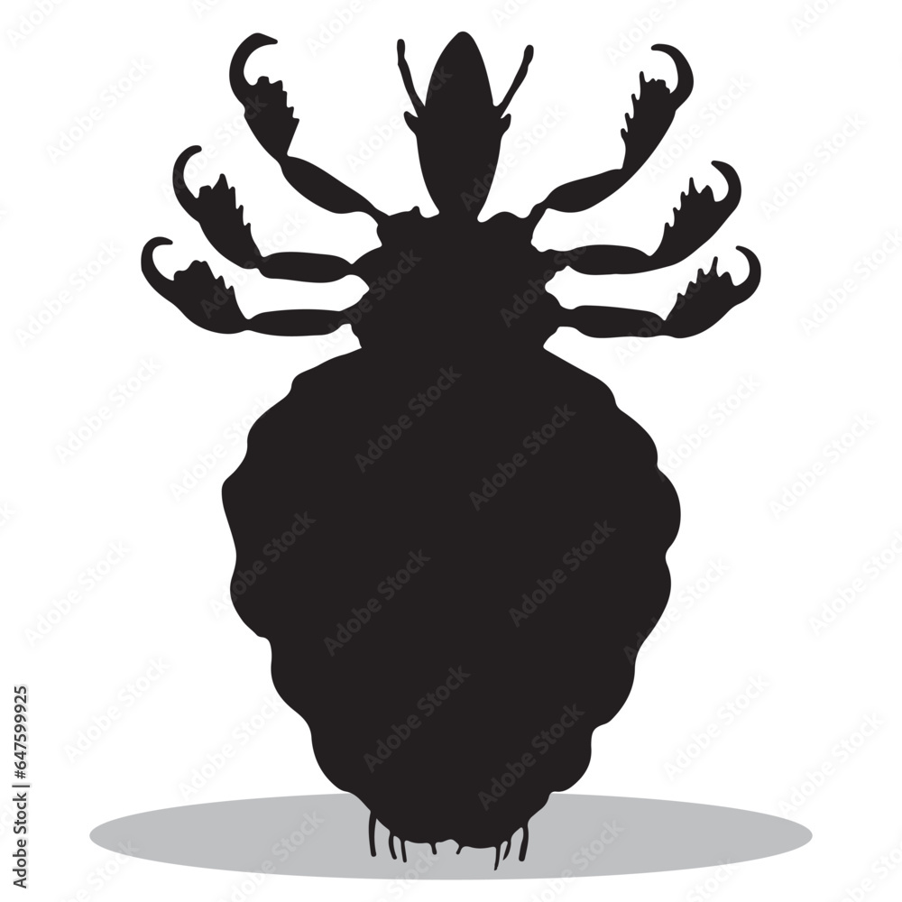 Human Louse Silhouette Cute Human Louse Vector Silhouette Cute Human