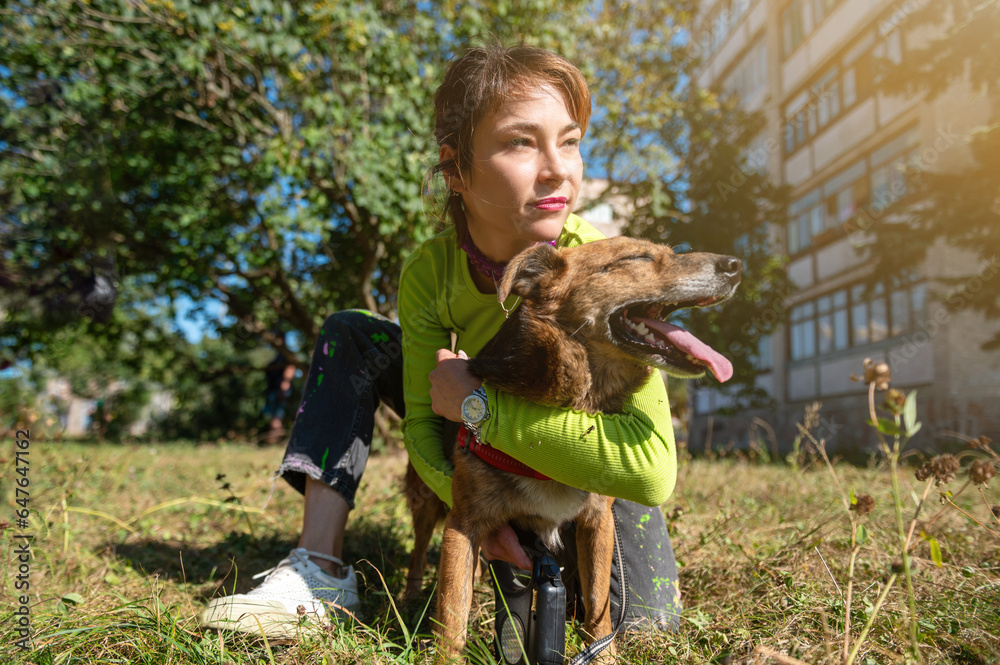 Dog with a volunteer. An animal shelter volunteer takes care of dogs ...