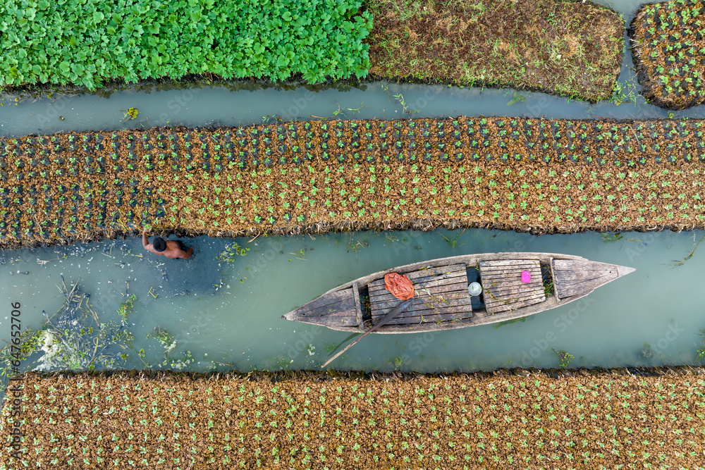 Aerial view of traditional floating vegetables garden along the creek ...