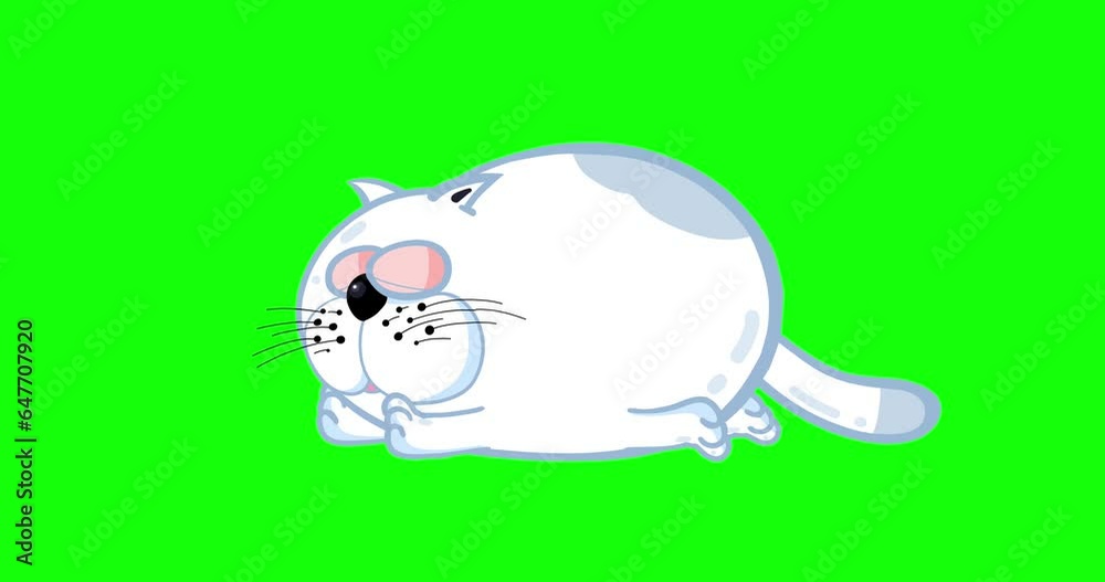 Cartoon white fat cat standing then sleeping greenbox isolated ...