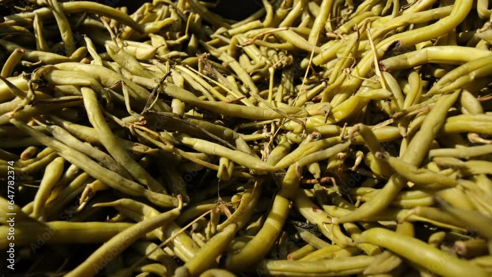 Close up and panning left to right of cooked low quality green beans ...