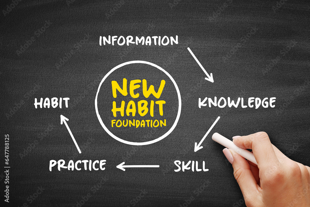Step by step process diagram of New Habit Foundation, business concept ...