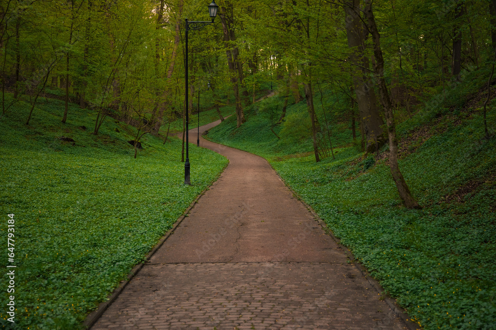 city park walking area with old road foot path way under trees shadow ...