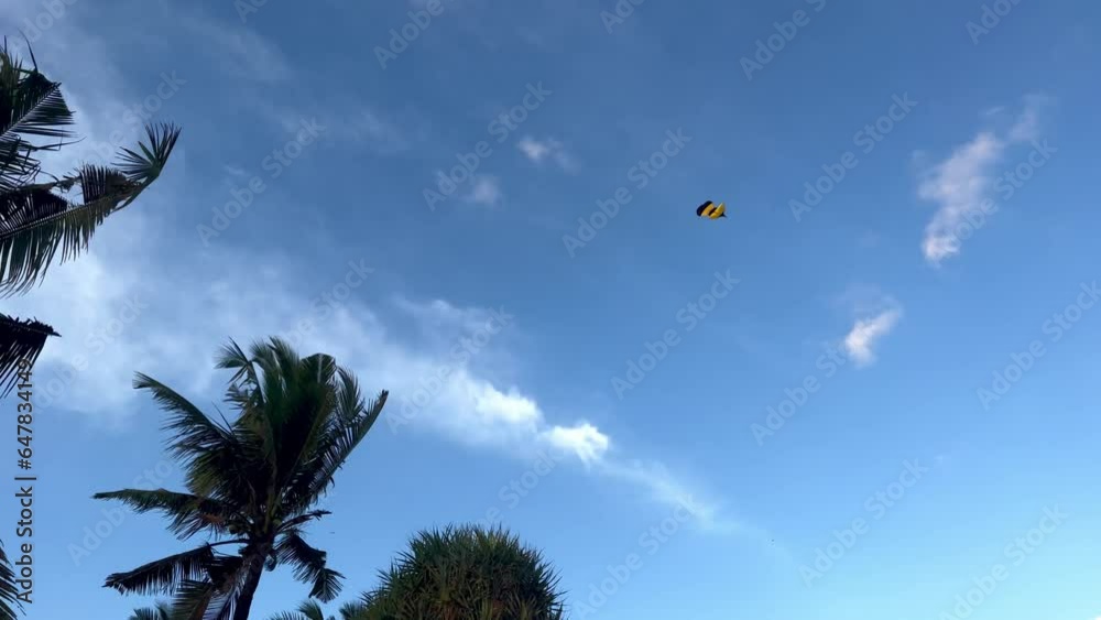 Kite flying in blue sky with white clouds behind palm tree tops on a ...