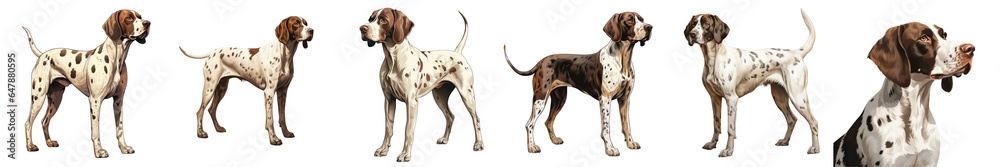 Png Set Illustration of isolated black dog breed from side view ...