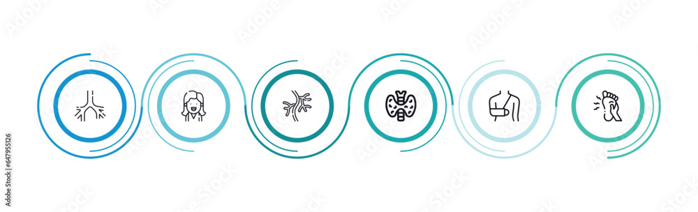 lungs with the trachea, human teeth, human artery, thyroid, broken bone ...