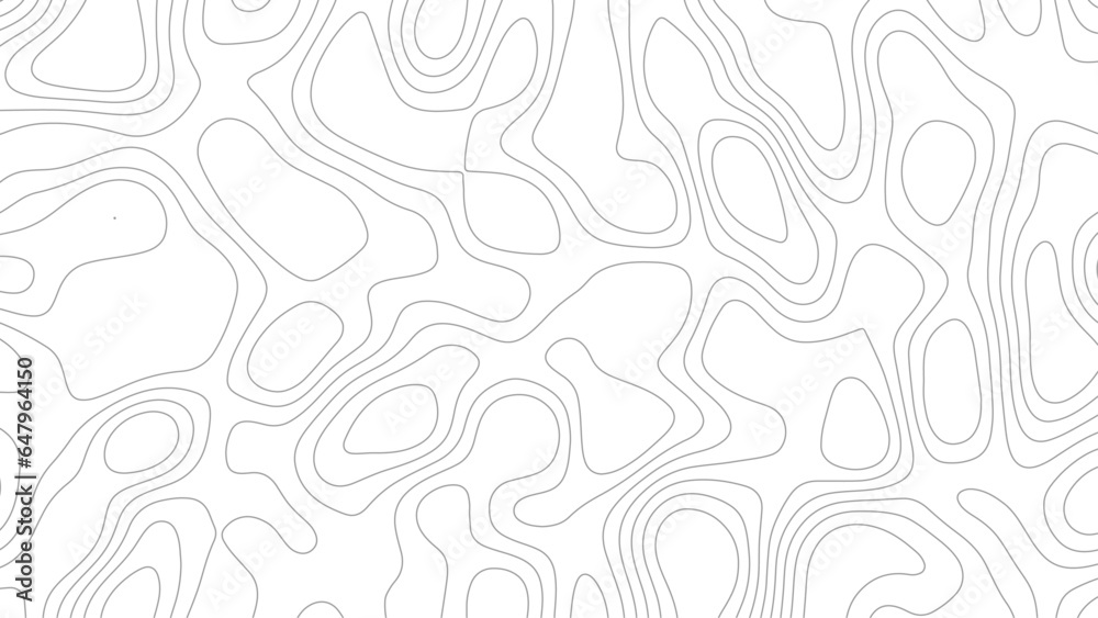 Topography Map Background Vector Geographic Contour Map Modern Design