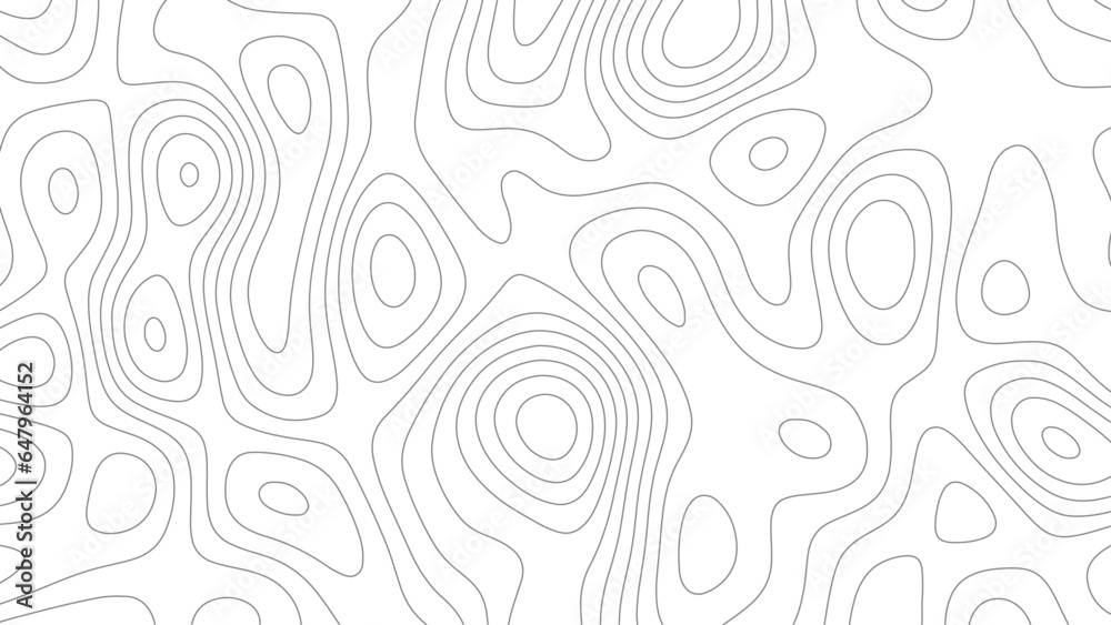 Topography map background. Vector geographic contour map. Modern design ...