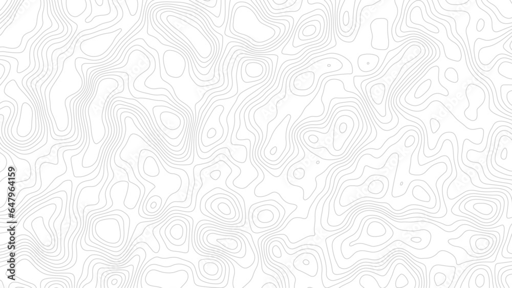 Topography Map Background Vector Geographic Contour Map Modern Design