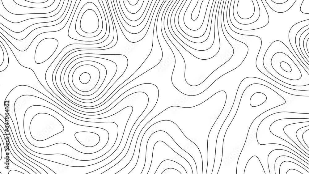 Topography Map Background Vector Geographic Contour Map Modern Design