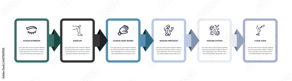 human eyebrow, kneecap, human hand bones, woman pregnant, immune system ...
