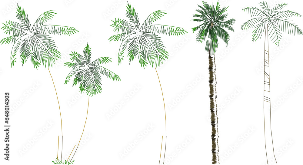 Vector sketch illustration of tree and plant clipart design to complete ...