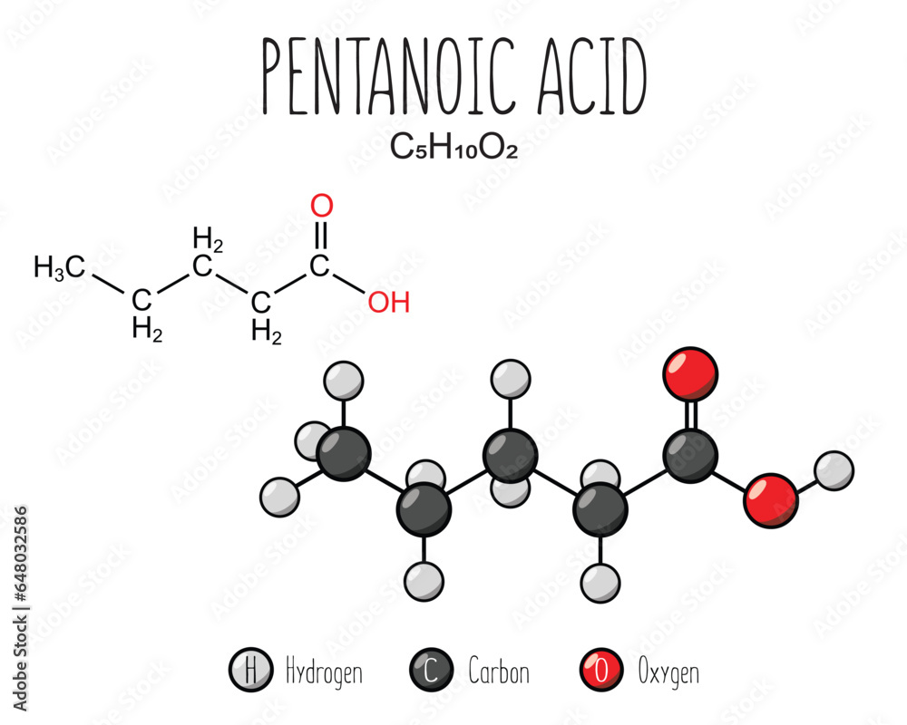 Pentanoic Acid Skeletal Structure And Flat Model Representation Isolated On A Blank Background