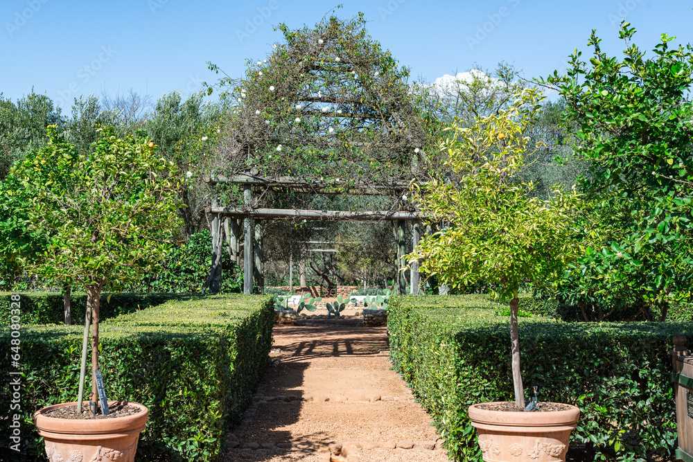 Babylonstoren, one of the oldest Cape Dutch farms. It has a fruit and ...