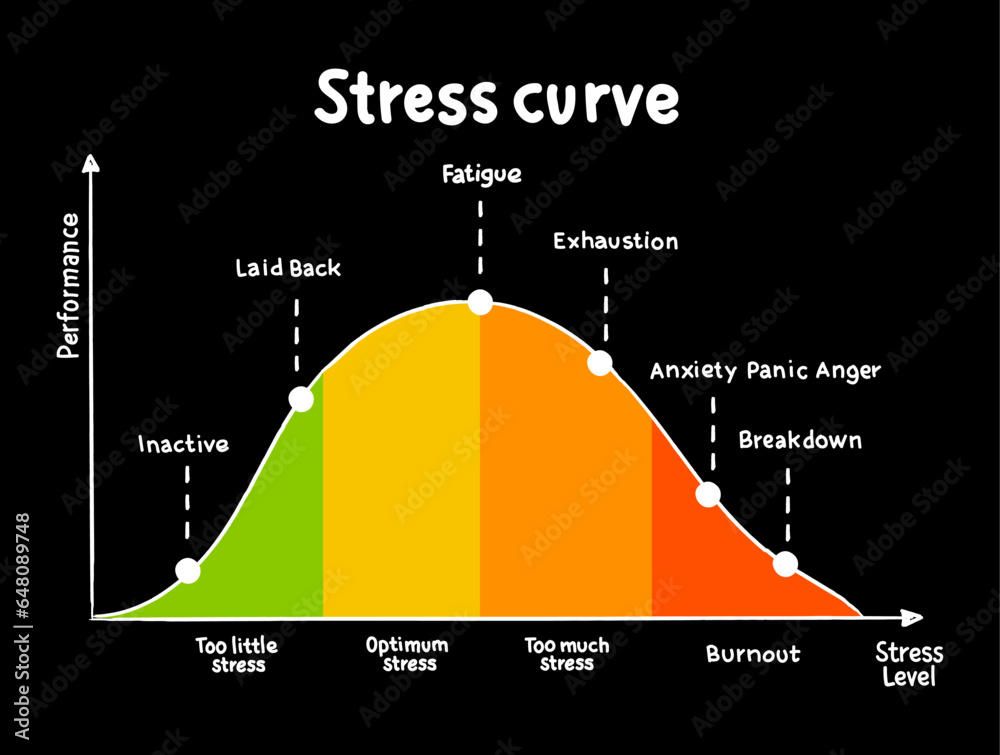 Different stages of the stress curve, educational diagram concept for ...