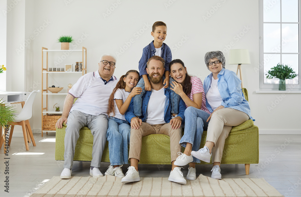 A huge happy family. Portrait of grandparents, mother, father and two ...