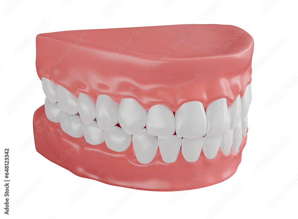 Realistic dental arch isolated on white on transparent background in 3d ...