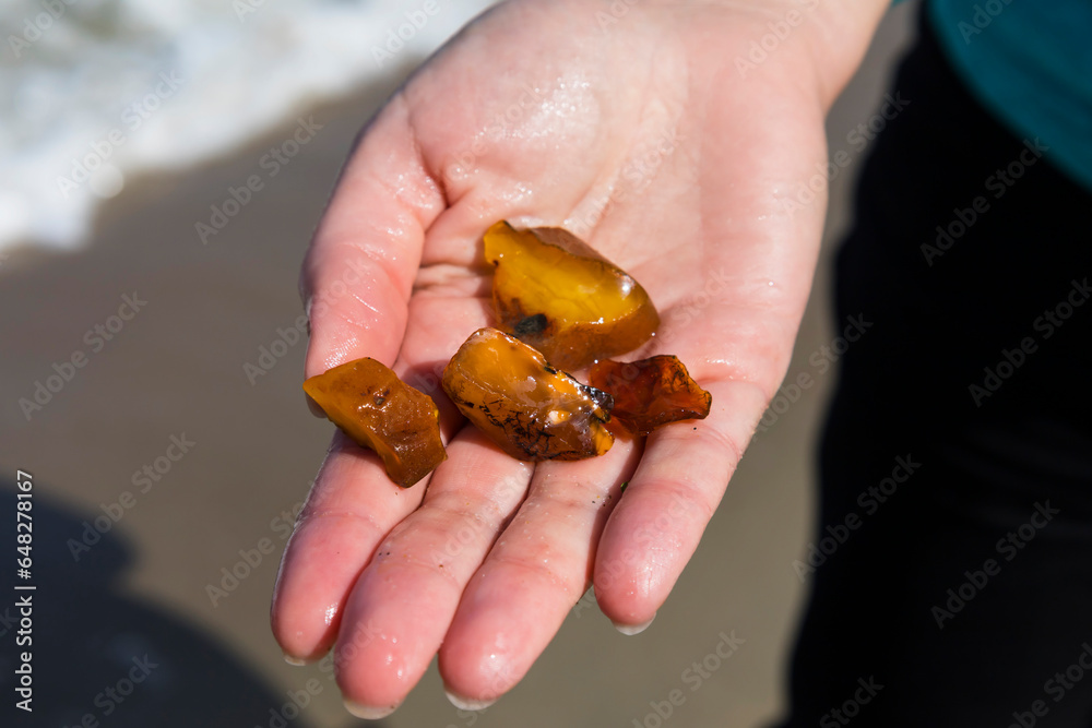 Beautiful pieces of amber in the hand of the sea background. A glowing ...