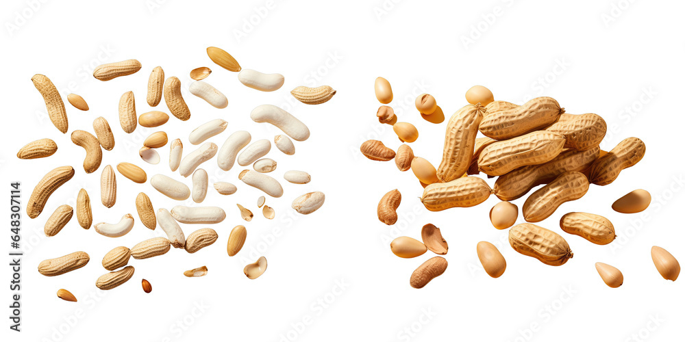 Png Set Peeled groundnut with shell on against transparent background ...