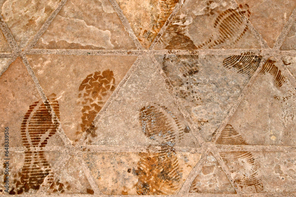 Wet shoe prints at the entrance of Fossil Butte National Monument ...