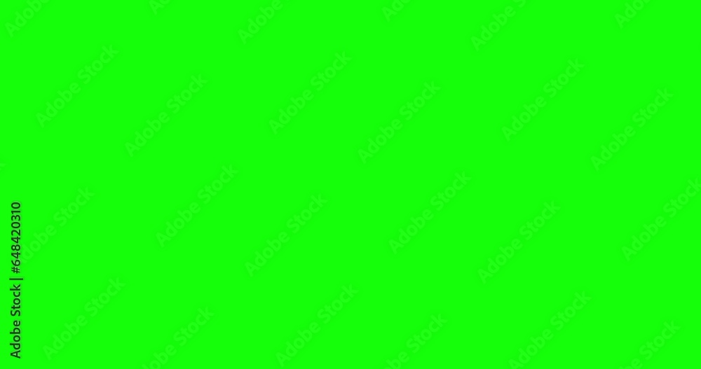 Cartoon white fat cat run big greenbox isolated. Seamless loop ...