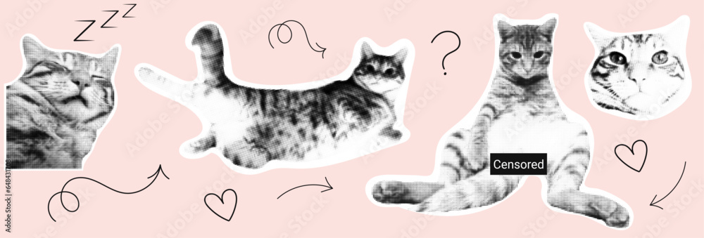 Cat, animal, pet from different angles, different poses, halftone ...