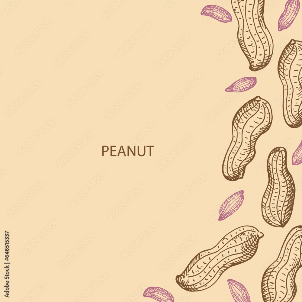 Vecteur Stock Peanut nuts frame label background for text. Border with ...