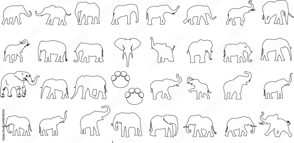 Elephant, Elephas maximus, vector, illustration, icon, silhouette ... Elephant, Elephas maximus, vector, illustration, icon, silhouette ...