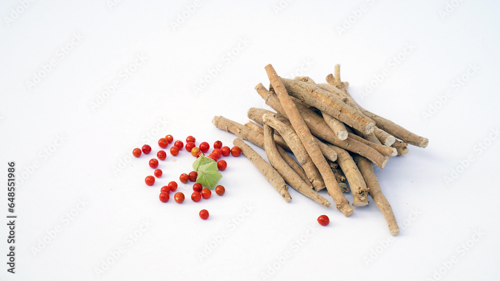 Root Withania somnifera, known commonly as ashwagandha, Indian ginseng ...