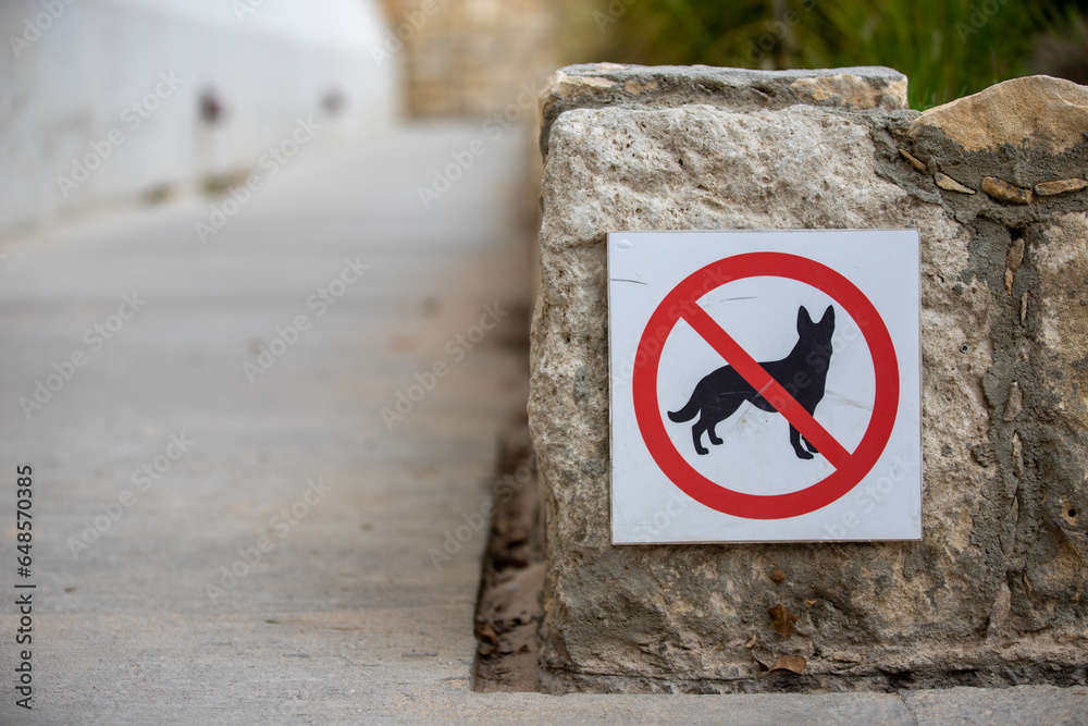Pet-Friendly Reminder: A 'No Dogs Allowed' sign serves as a reminder ...