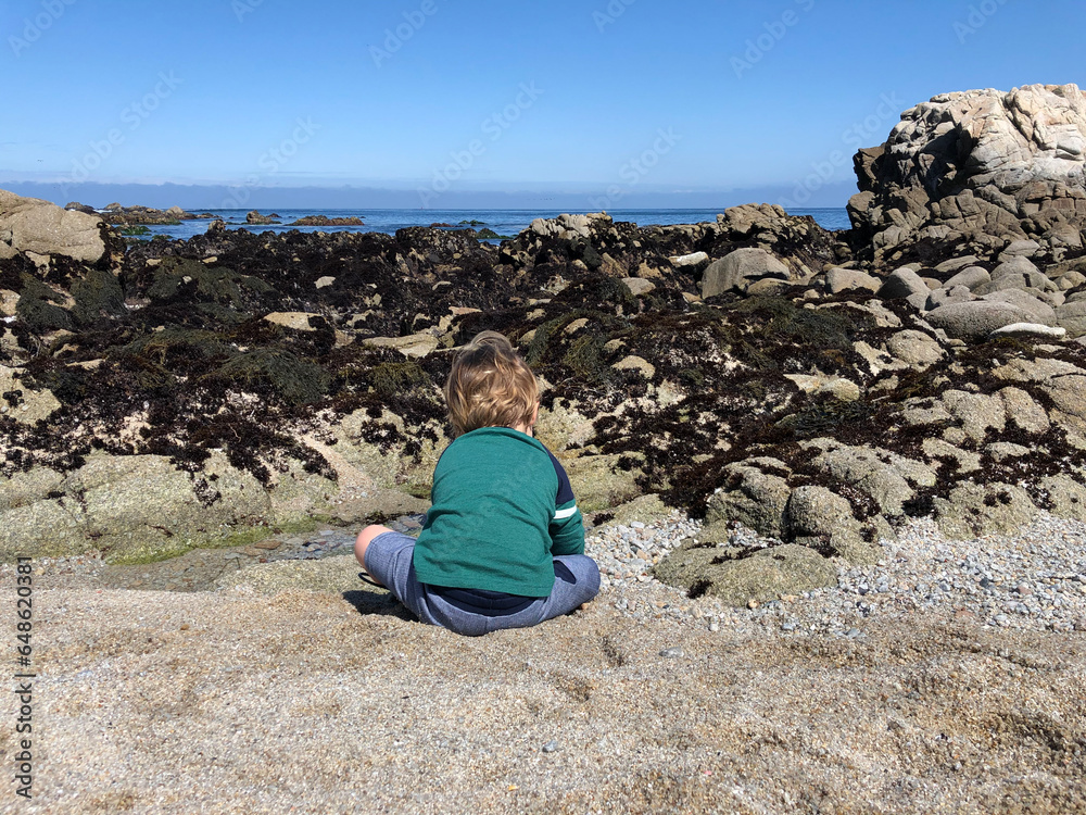 Having fun with tide pools - Little boy exploring beach and the ocean ...