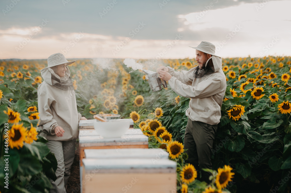 Young beekeepers work with bees in the apiary and eat honey.A young ...