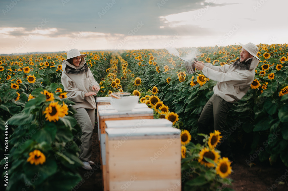 Young beekeepers work with bees in the apiary and eat honey.A young ...