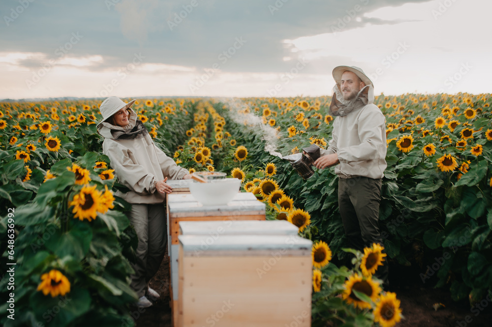 Young beekeepers work with bees in the apiary and eat honey.A young ...