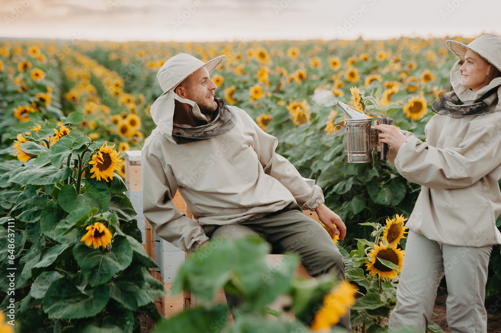 Young beekeepers work with bees in the apiary and eat honey.A young ...
