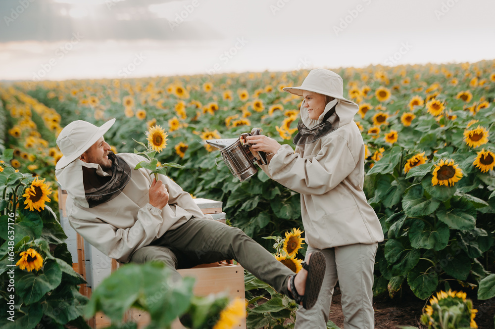 Young beekeepers work with bees in the apiary and eat honey.A young ...