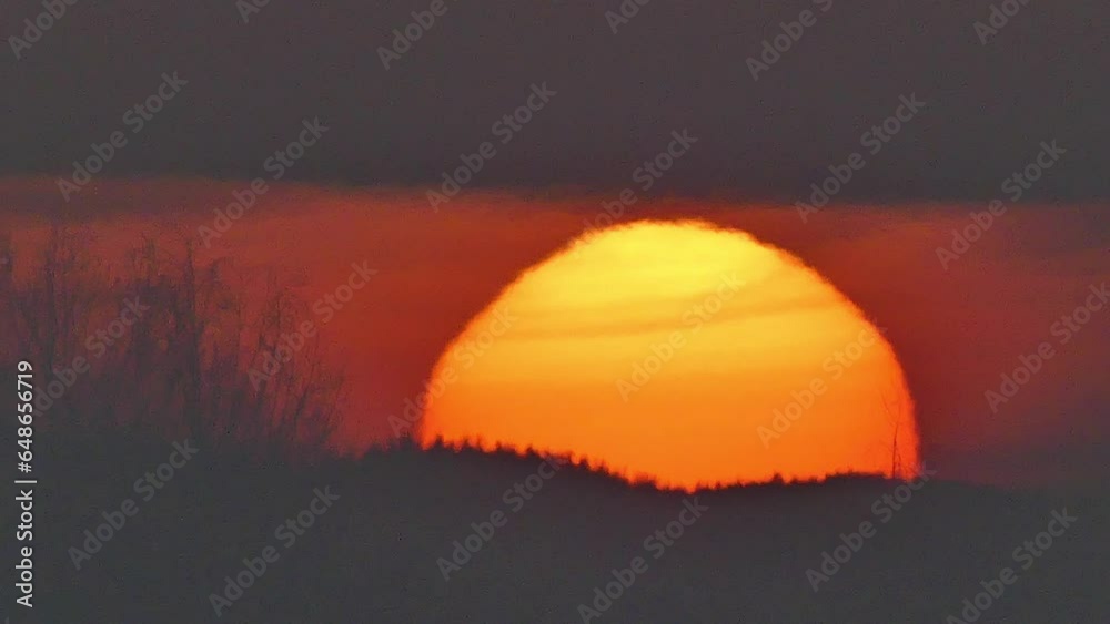 Sunrise over mountain, dark branches trees and flying birds - timelapse ...