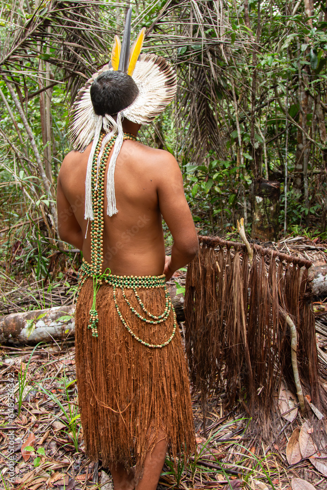 Tupinambá Indian with typical clothing extracting piassava from the ...