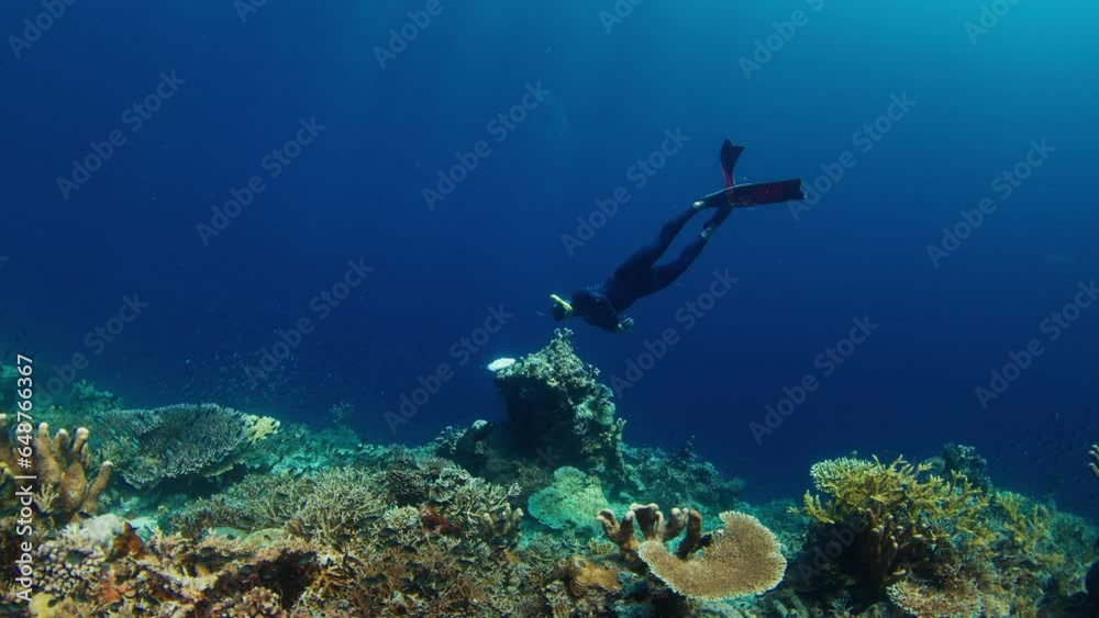 Freediving on the reef with fish. Freediver descends and glides ...
