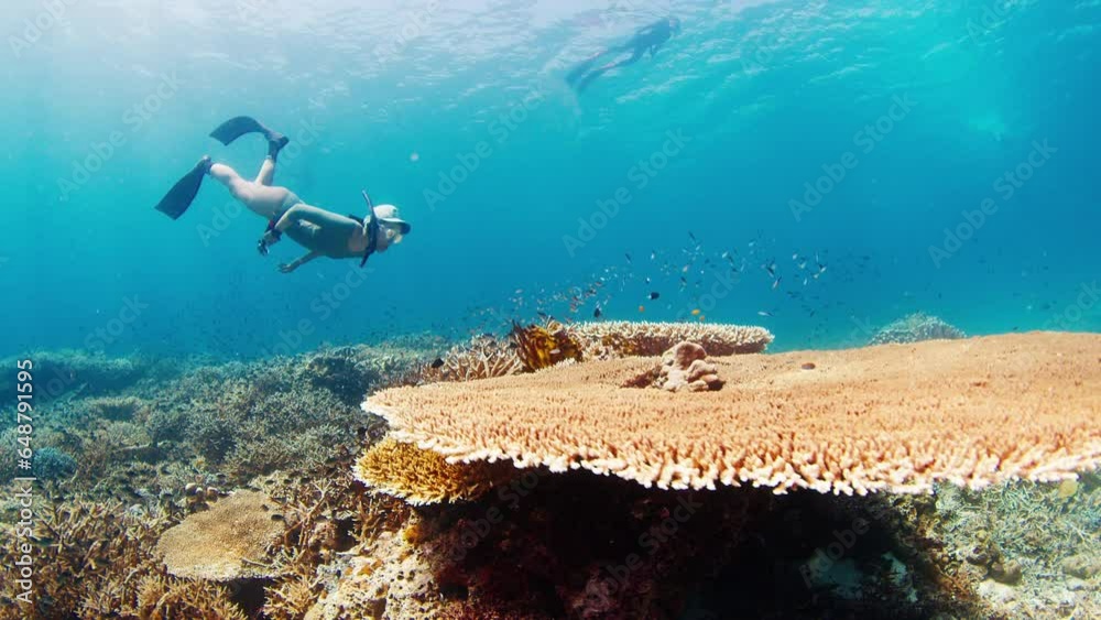 Freediving on the reef with fish. Woman freediver glides underwater and ...
