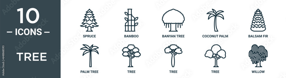 tree outline icon set includes thin line spruce, bamboo, banyan tree ...