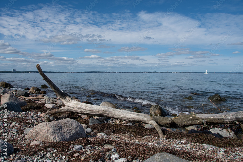Naturstrand an der Ostsee. Steiniger Strand , ein trockener Baumstamm ...