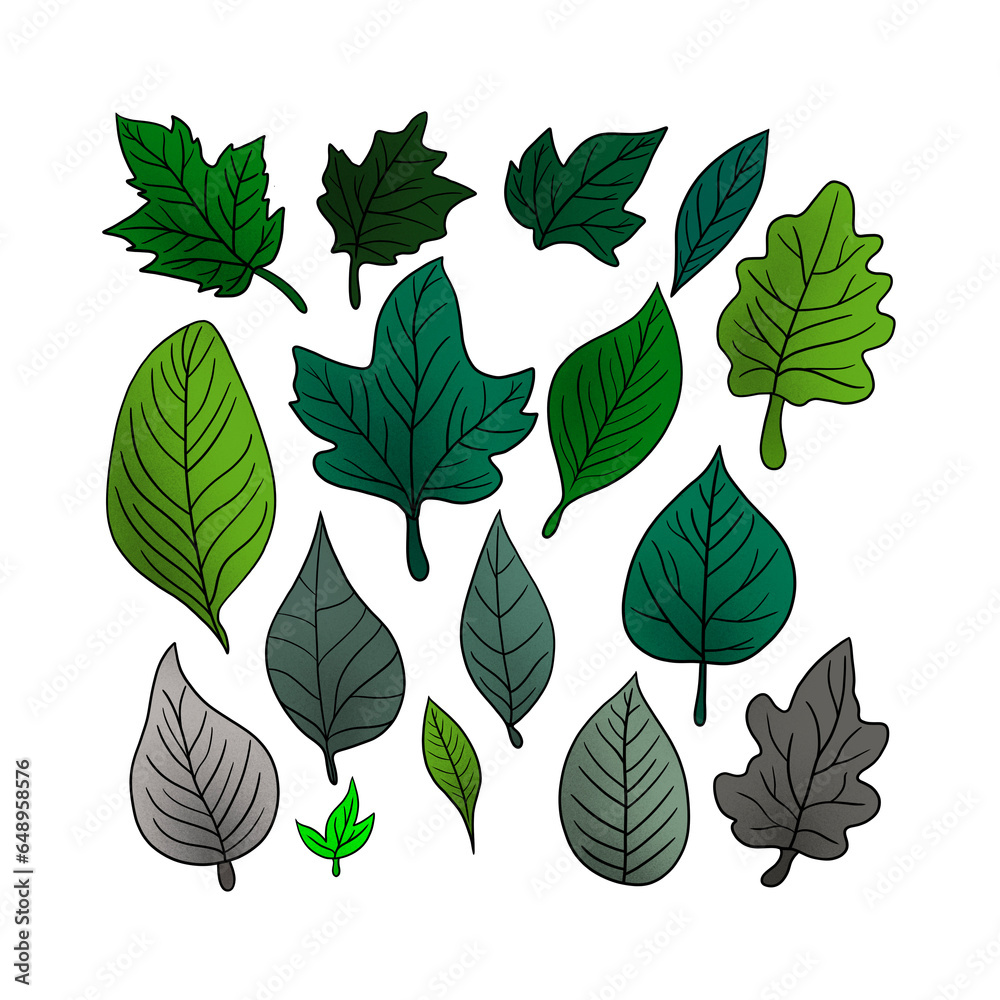 illustration of Biology and plant kingdom, Set of Leaf margins, the structure or appearance of ...