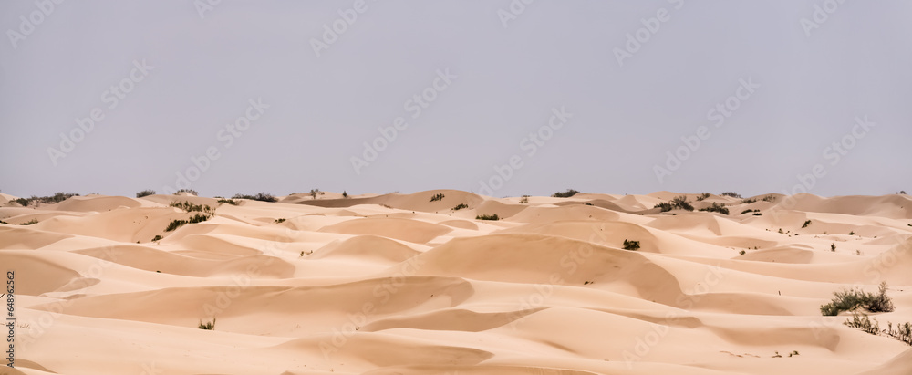 Sand dunes in the Senek desert in the Kazakh desert, desert sand ...