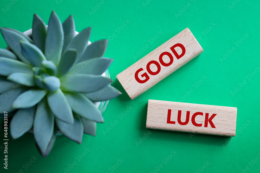 Good luck symbol. Wooden blocks with words Good luck. Beautiful green ...