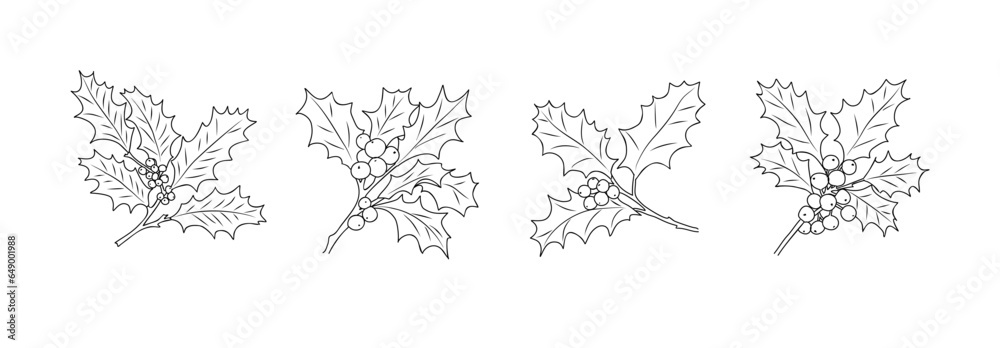 Vecteur Stock Set of holly line art drawings. December birth month ...