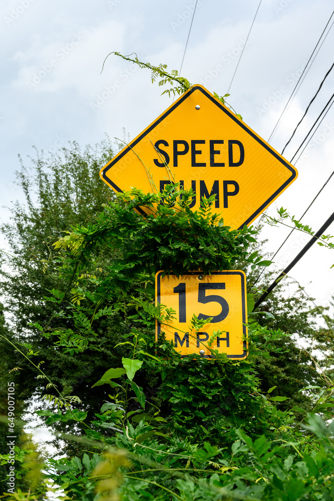 Traffic signs overgrown with plant vines, speed bump and 15 MPH ...